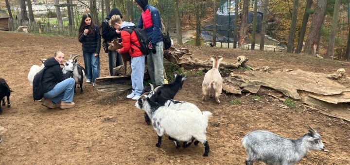 Základní škola Šumperk, 8.května – Vítejte na Hlucháku