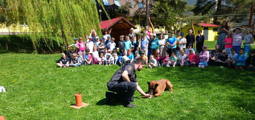 Základní škola Šumperk, 8.května – Vítejte na Hlucháku